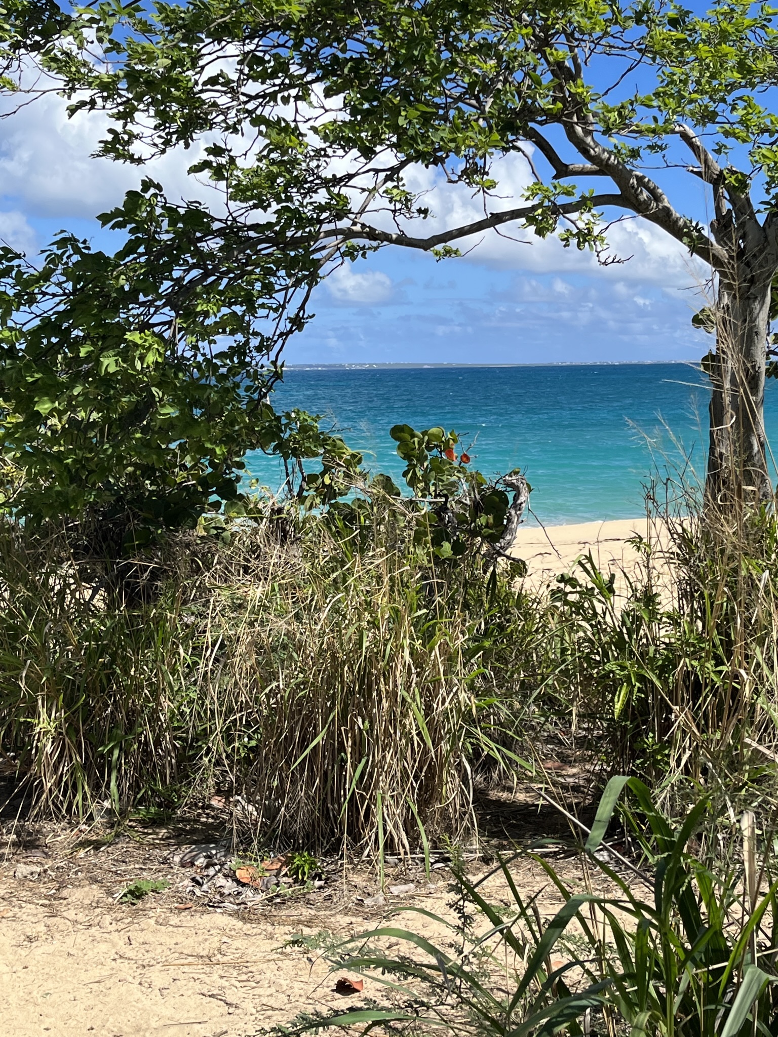 Happy Bay Beach - SXM Naturist